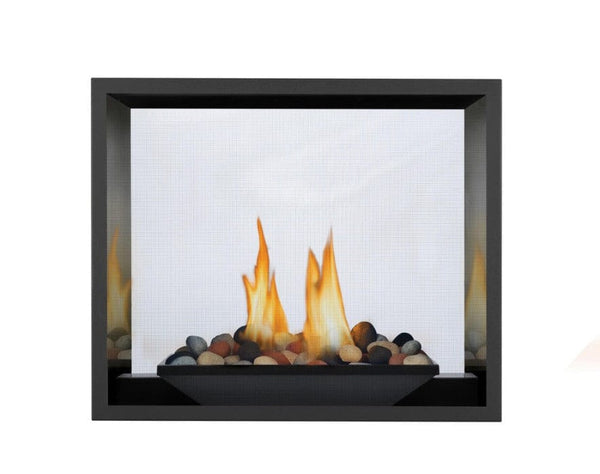 Napoleon HD81NT-1 High Definition See Clear Through Direct Vent Gas Fi ...